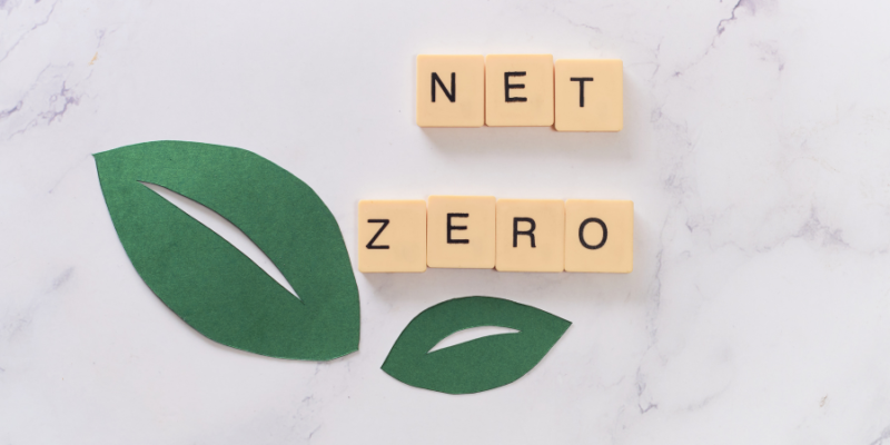 Net Zero & Carbon Neutral Energy Strategy Guide | Diversegy